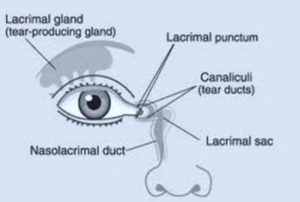 Blocked Tear Duct Las Vegas | Nasolacrimal Duct | Ideal EyeCare